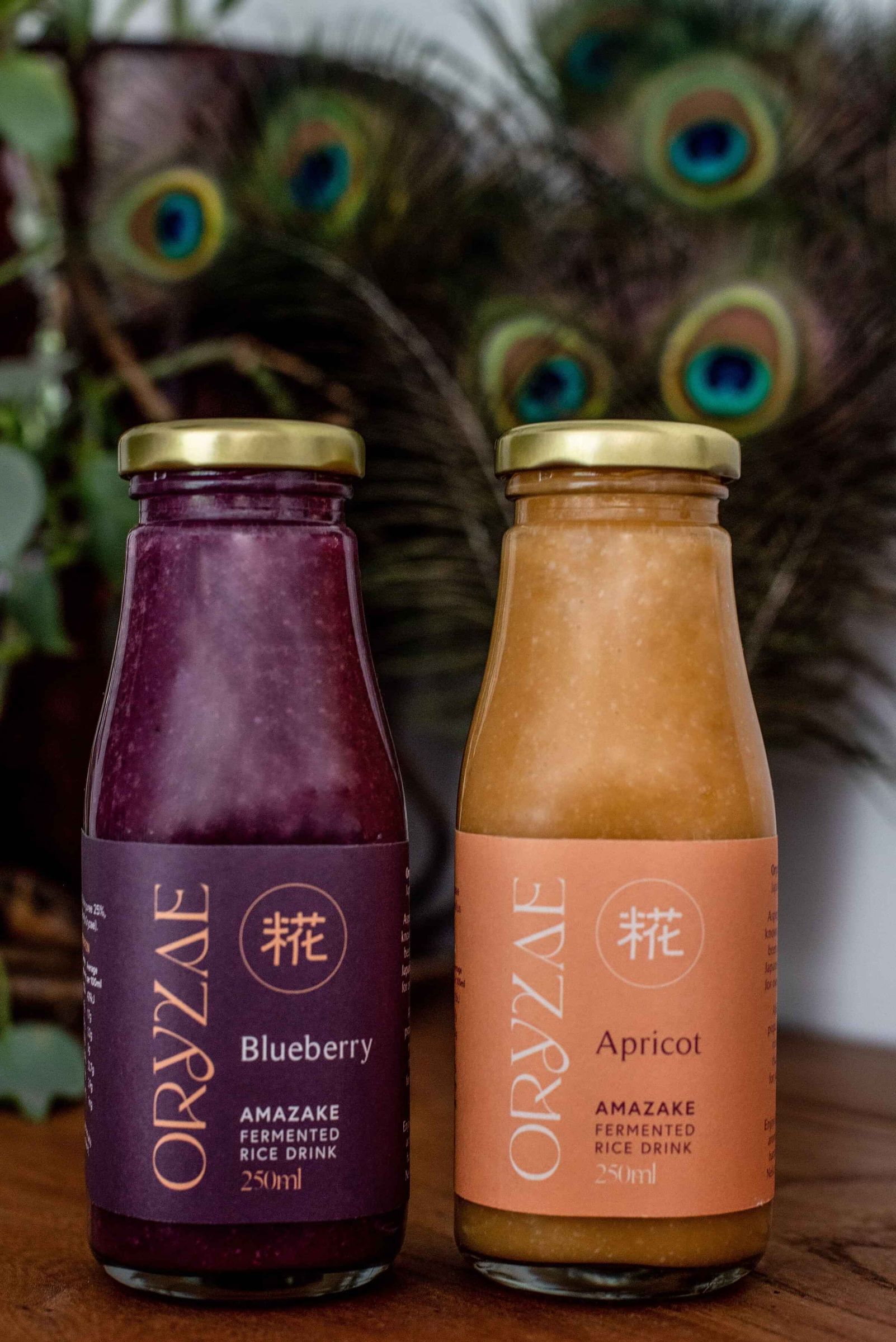 Oryzae Amazake | Nelson's Premium Japanese Amazake