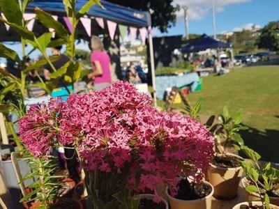 Raglan Growers Market