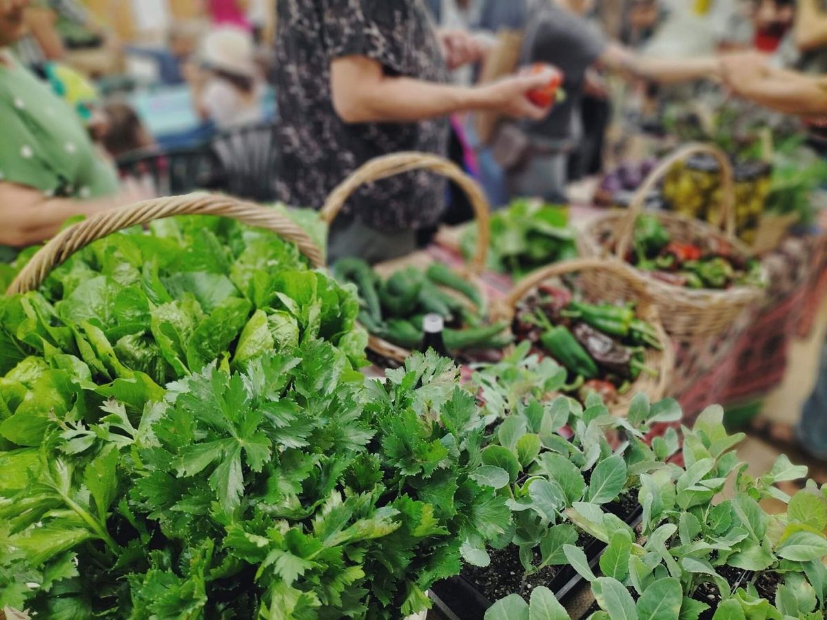 Raglan Growers Market