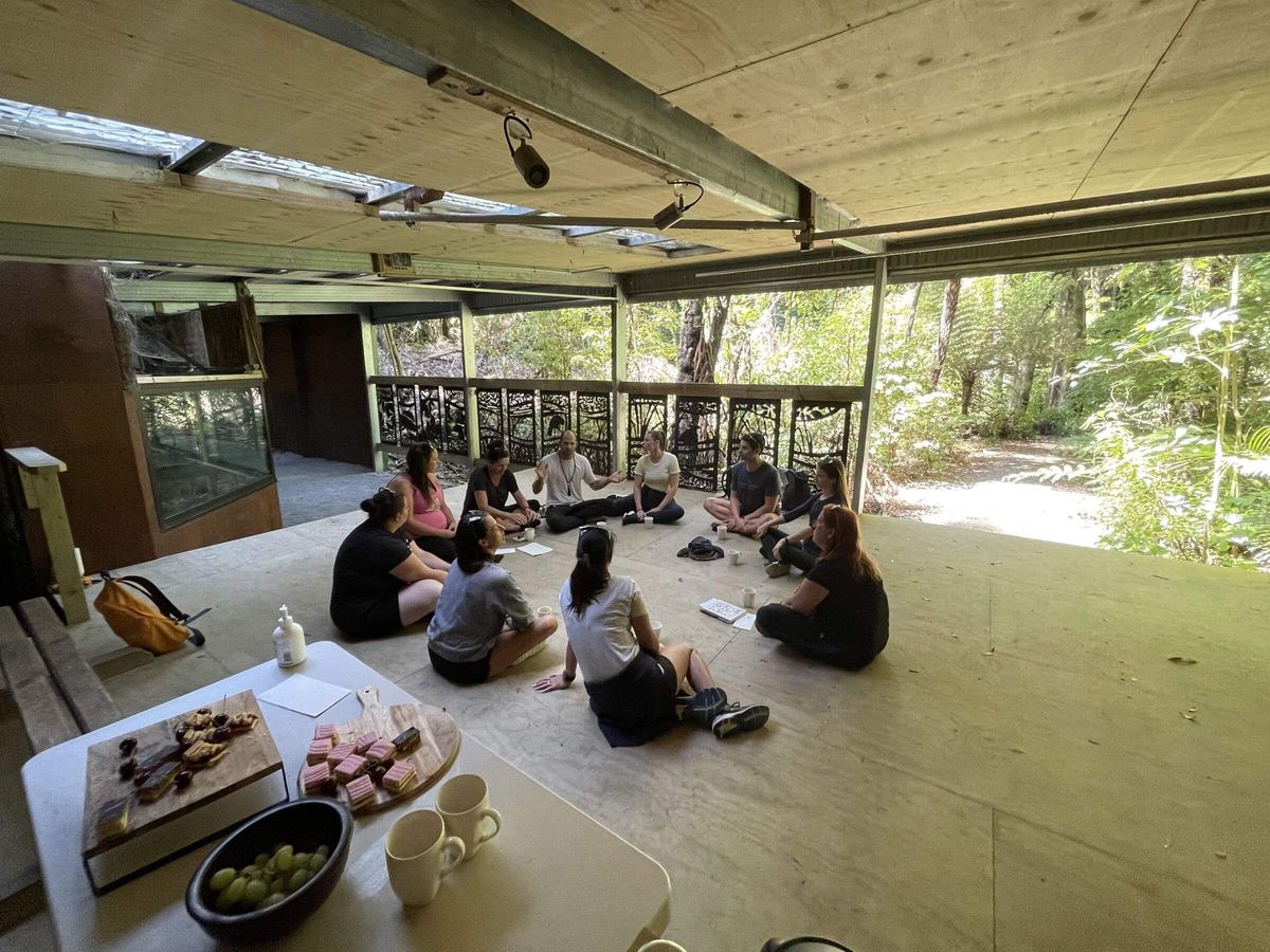 The Bush Boardroom | Forest Immersion Experience