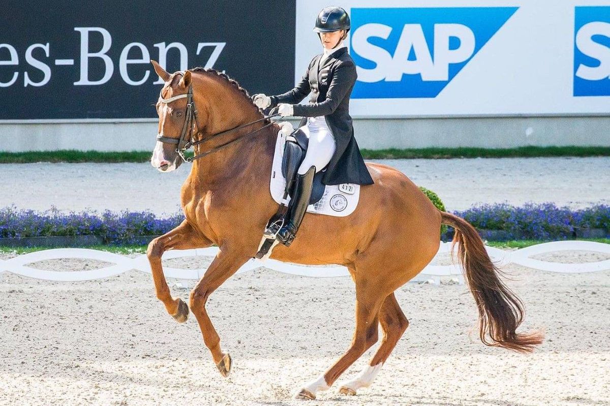 Natural Feed & Fertiliser Solutions For Agriculture