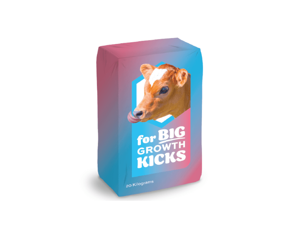 OptiCalf l Dry Calf Pens I Calf Diarrhoea (Scours) Treatment