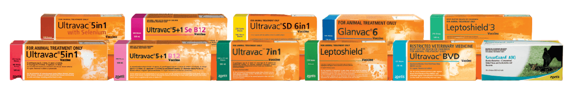 Zoetis Recycling | VetSouth