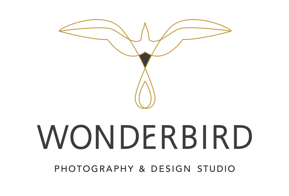 My creative collaborators; web designers, brand agencies & more | Mark ...