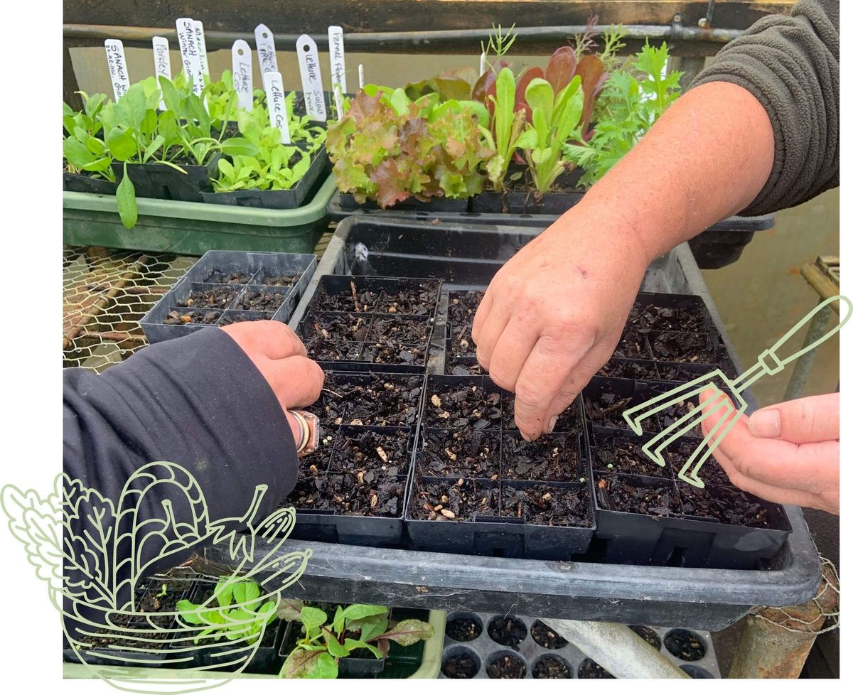 Vocational Training Programme | Earth Gardens