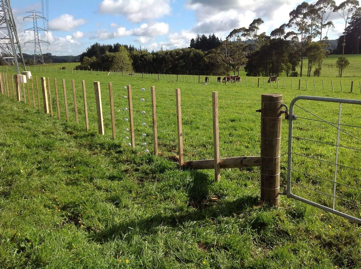 Transpower Project | PPS Fencing Limited