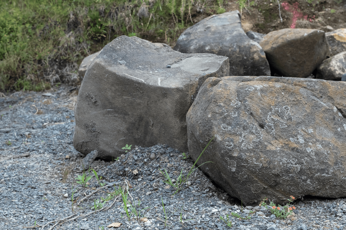 Feature Boulders | Greenscape Landscape & Garden Supplies