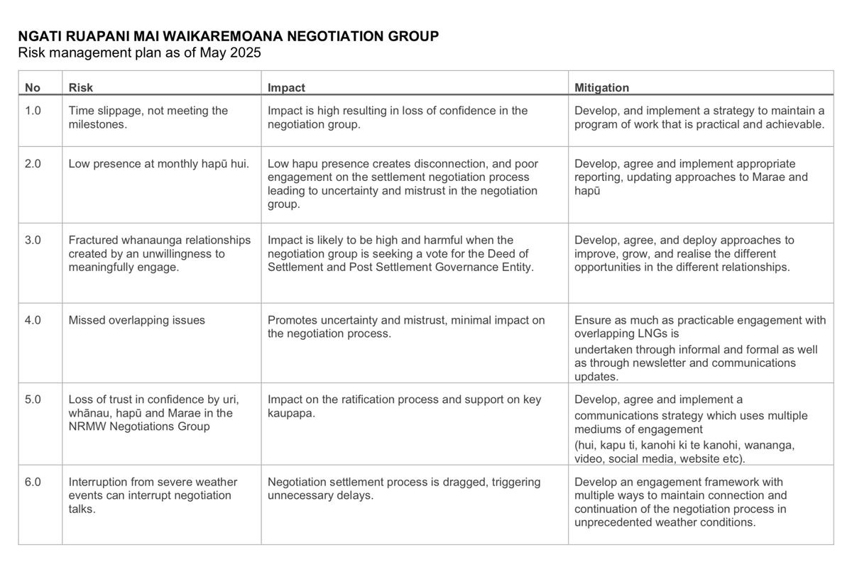 Risk Management Plan May 2025 | Ngāti Ruapani mai Waikaremoana