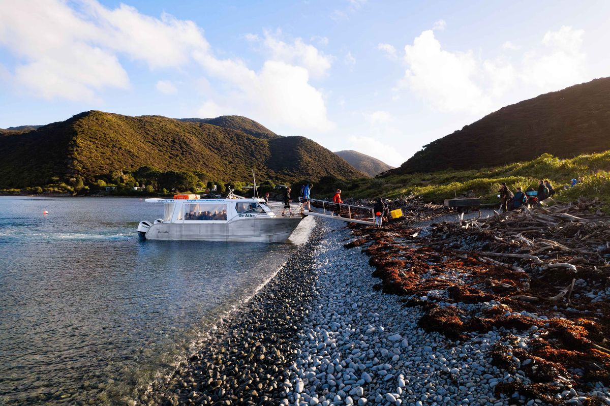 Kapiti Island Nature Tours