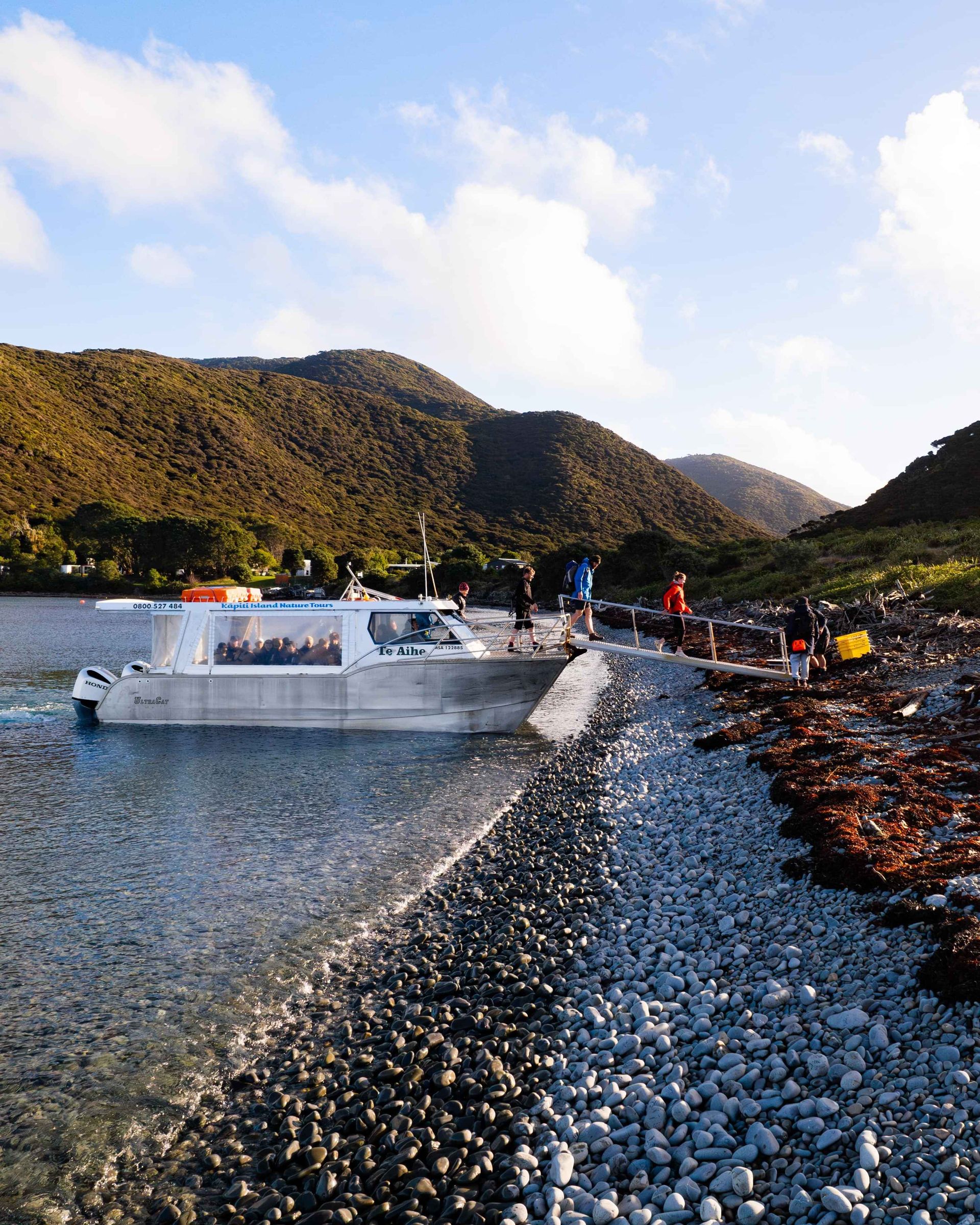 Team Building Retreats | Kapiti Island Nature Tours