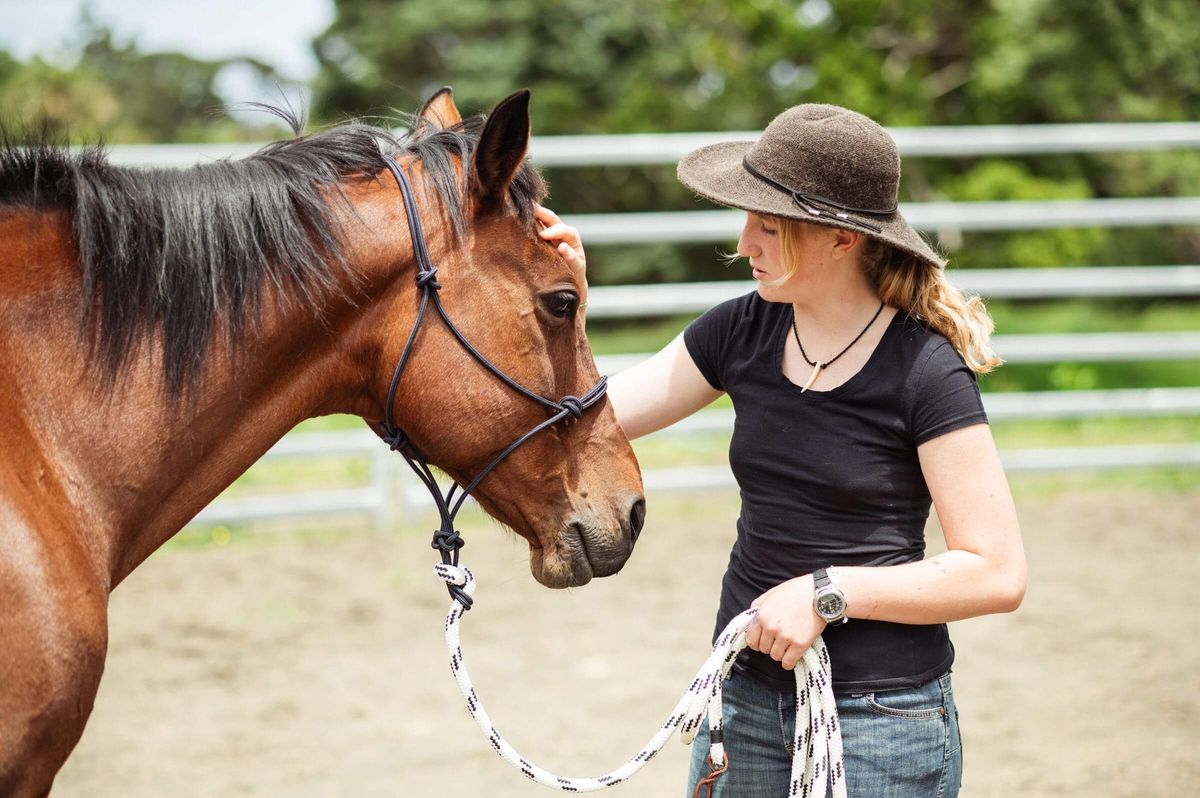 Horses Helping Humans: Transformative Equine Assisted Learning Program ...