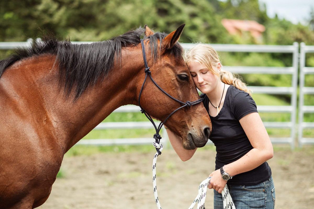 Horses Helping Humans: Transformative Equine Assisted Learning Program | Muriwai Beach Horse Treks