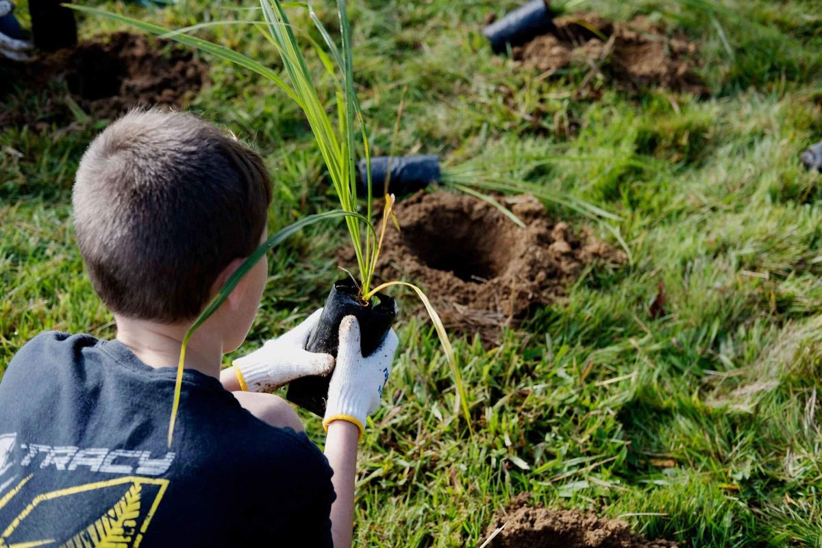 Support | Trees for Survival