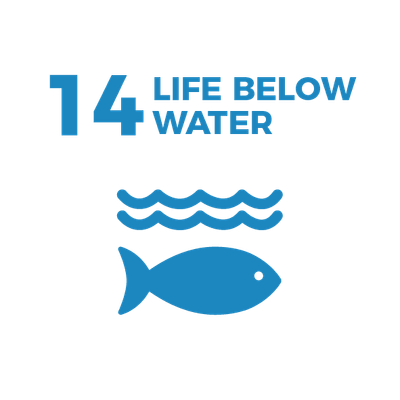 SDG 14 | Waikato Wellbeing Project