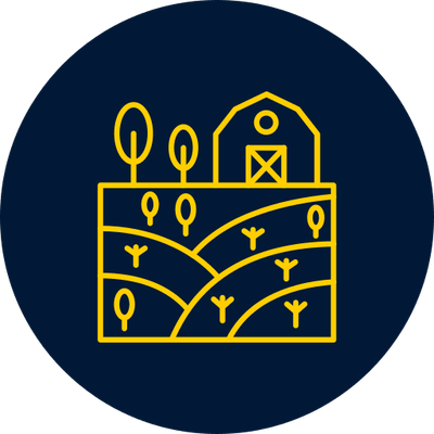 MSI: Insurance Broker Hawkes Bay | Matt Stent Insurance