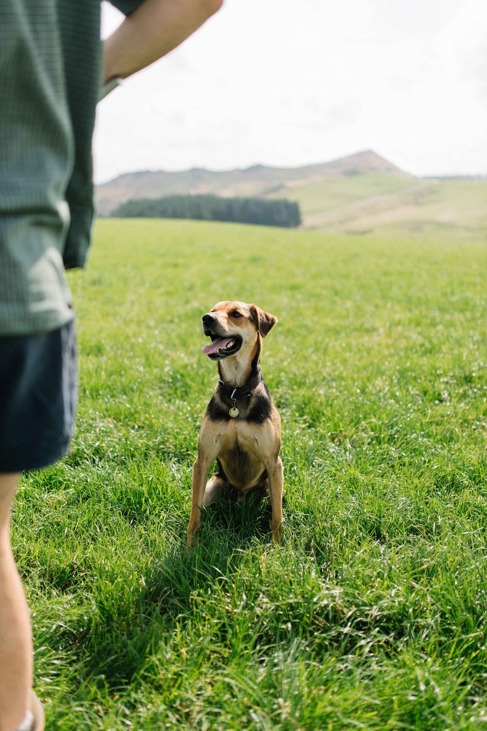 Trial FARMAX for free | FARMAX