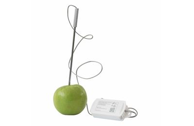 BLE Fruit Temperature Probe | Vaiotech