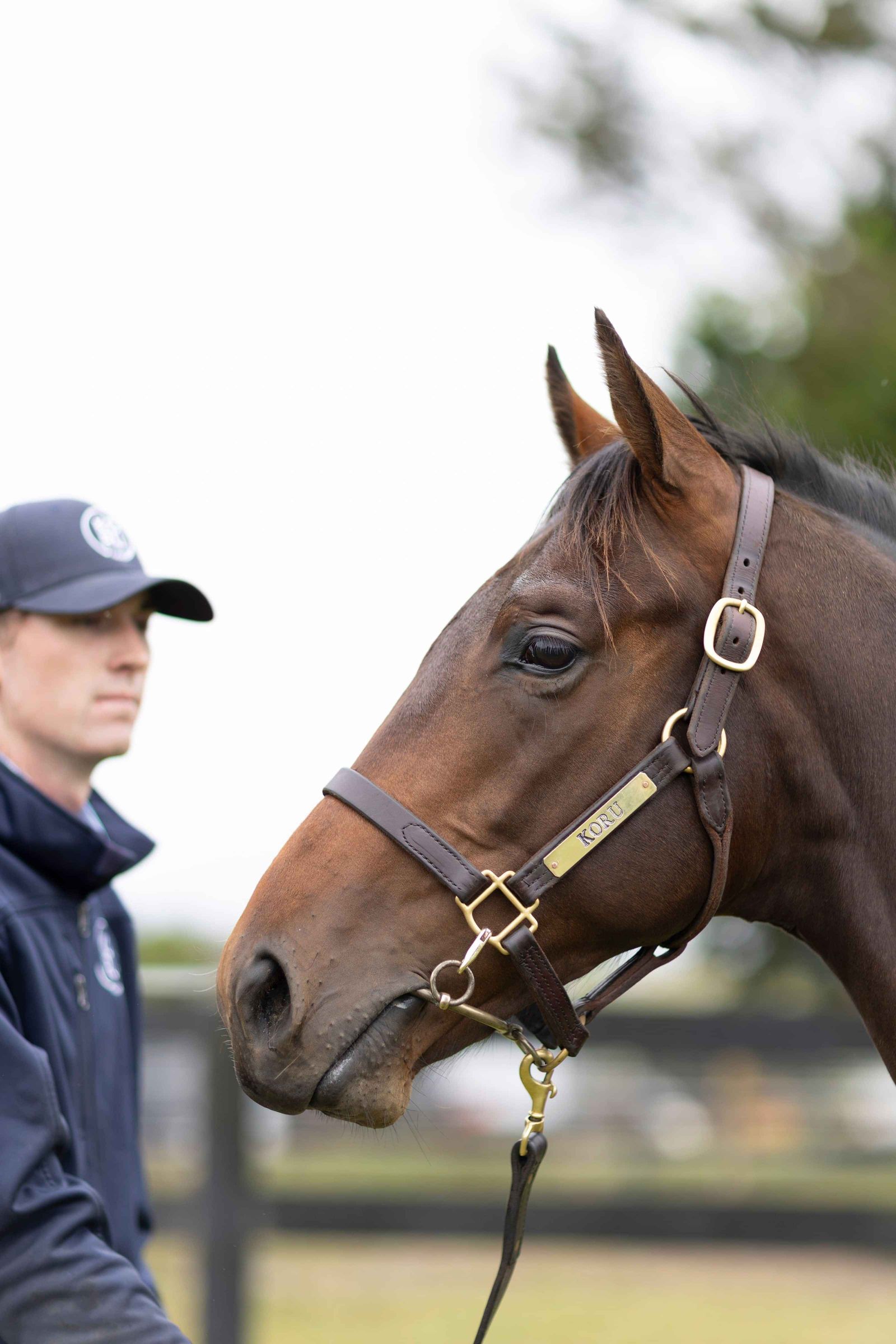 Gallery | Jeff Poole