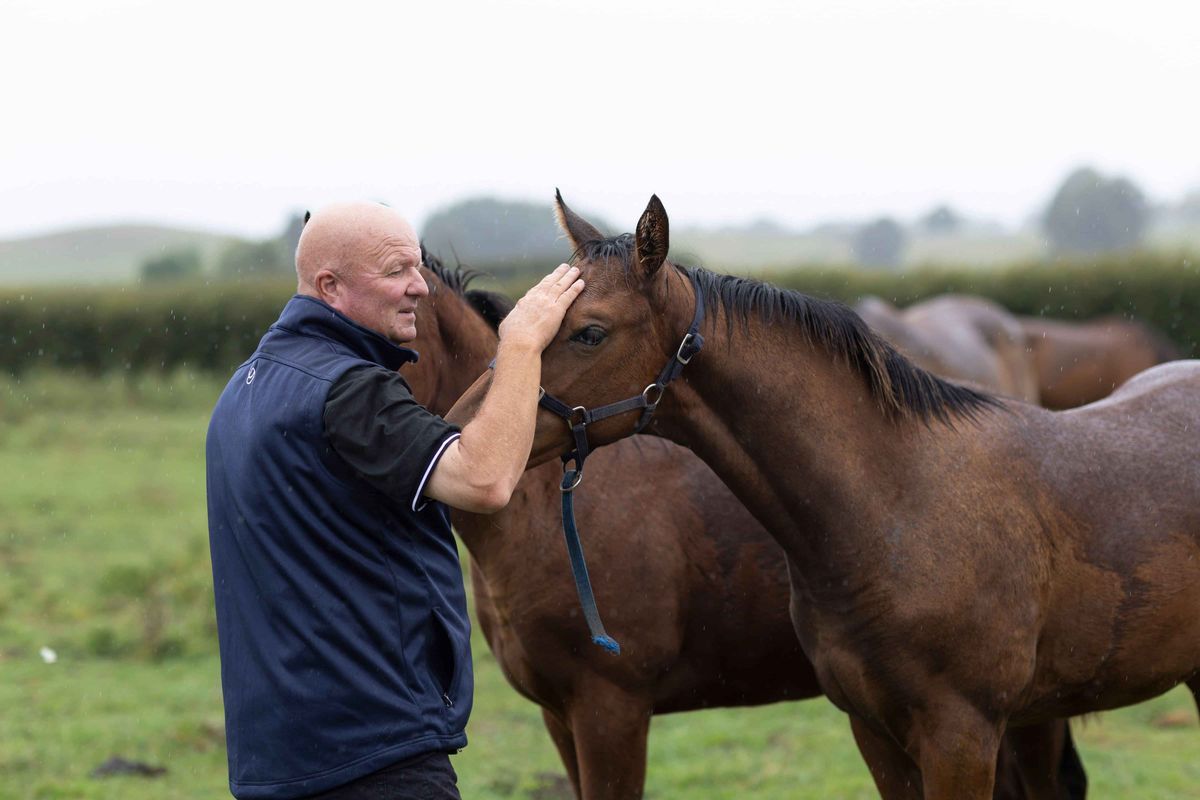 Gallery | Jeff Poole