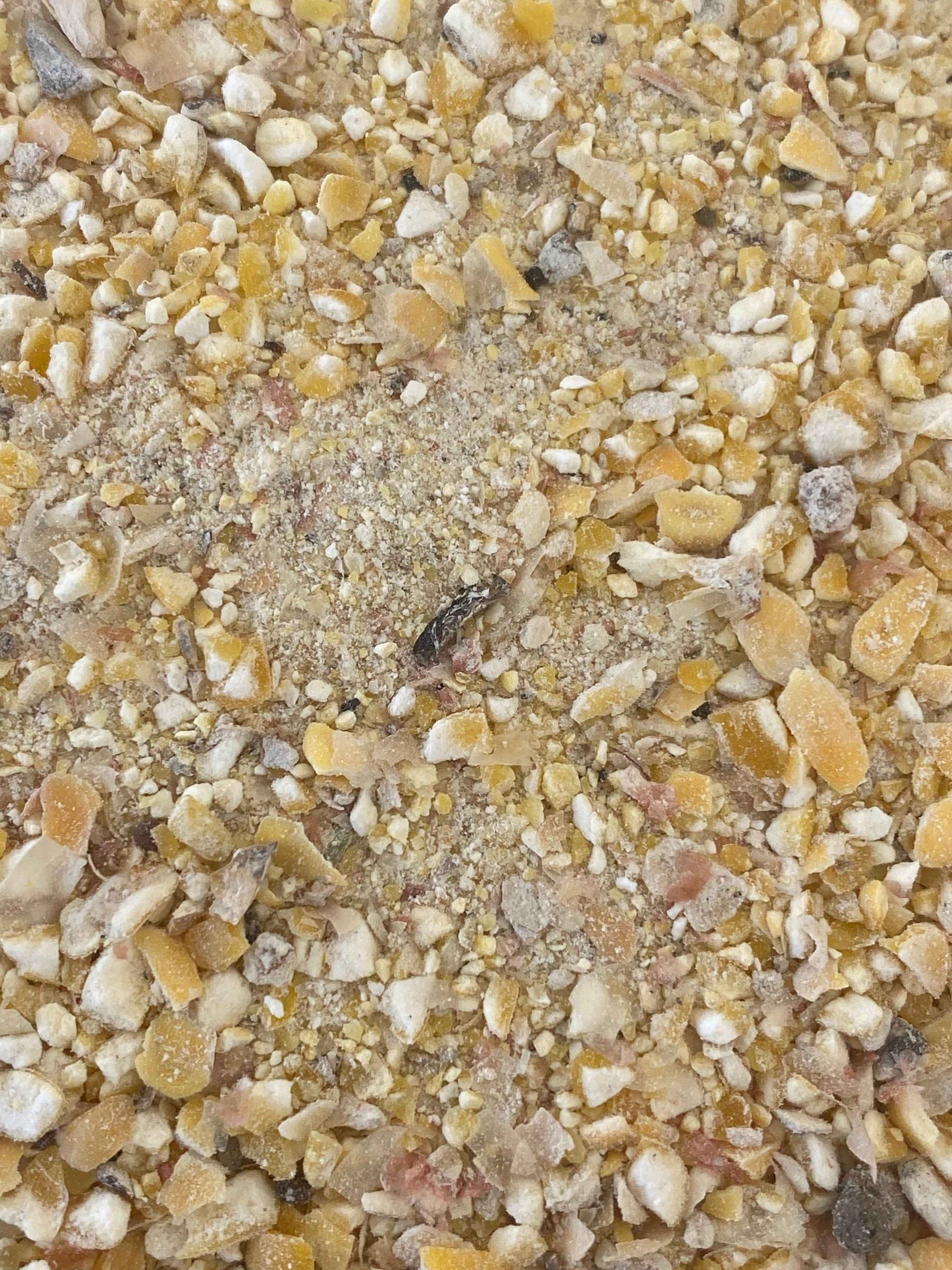 Customised blends ingredient: Kibbled maize | Nutrinza