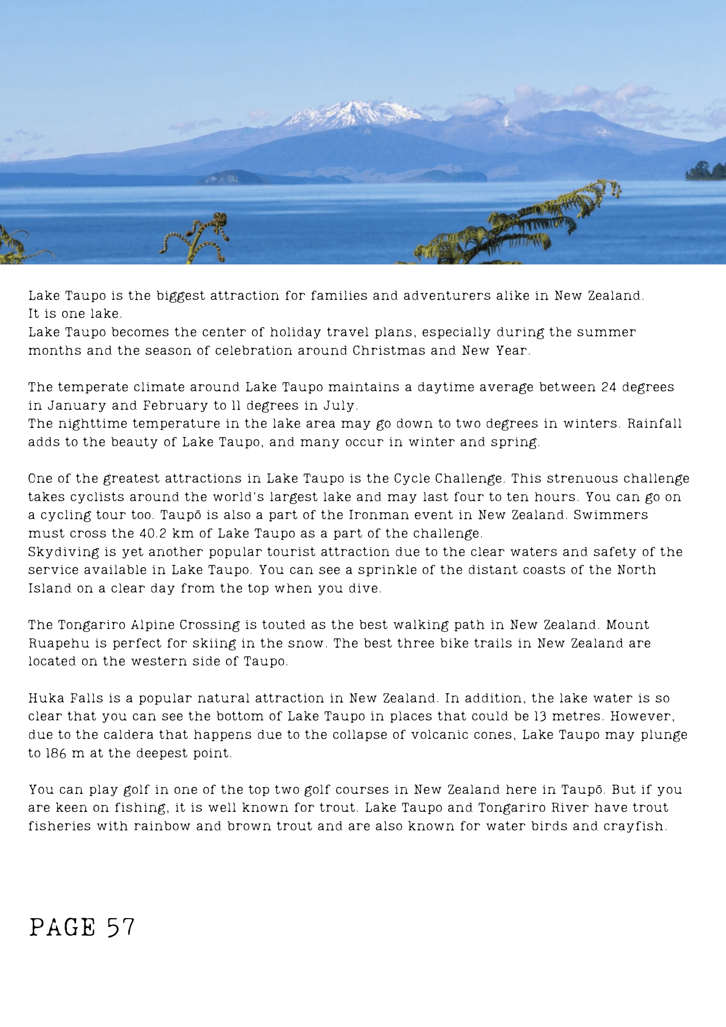 CLUE SEVEN - CRYPTIC CRAWLERS | Confinement Escape Rooms Taupo Ltd