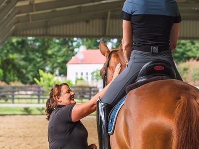 About | Timberlee Thoroughbreds