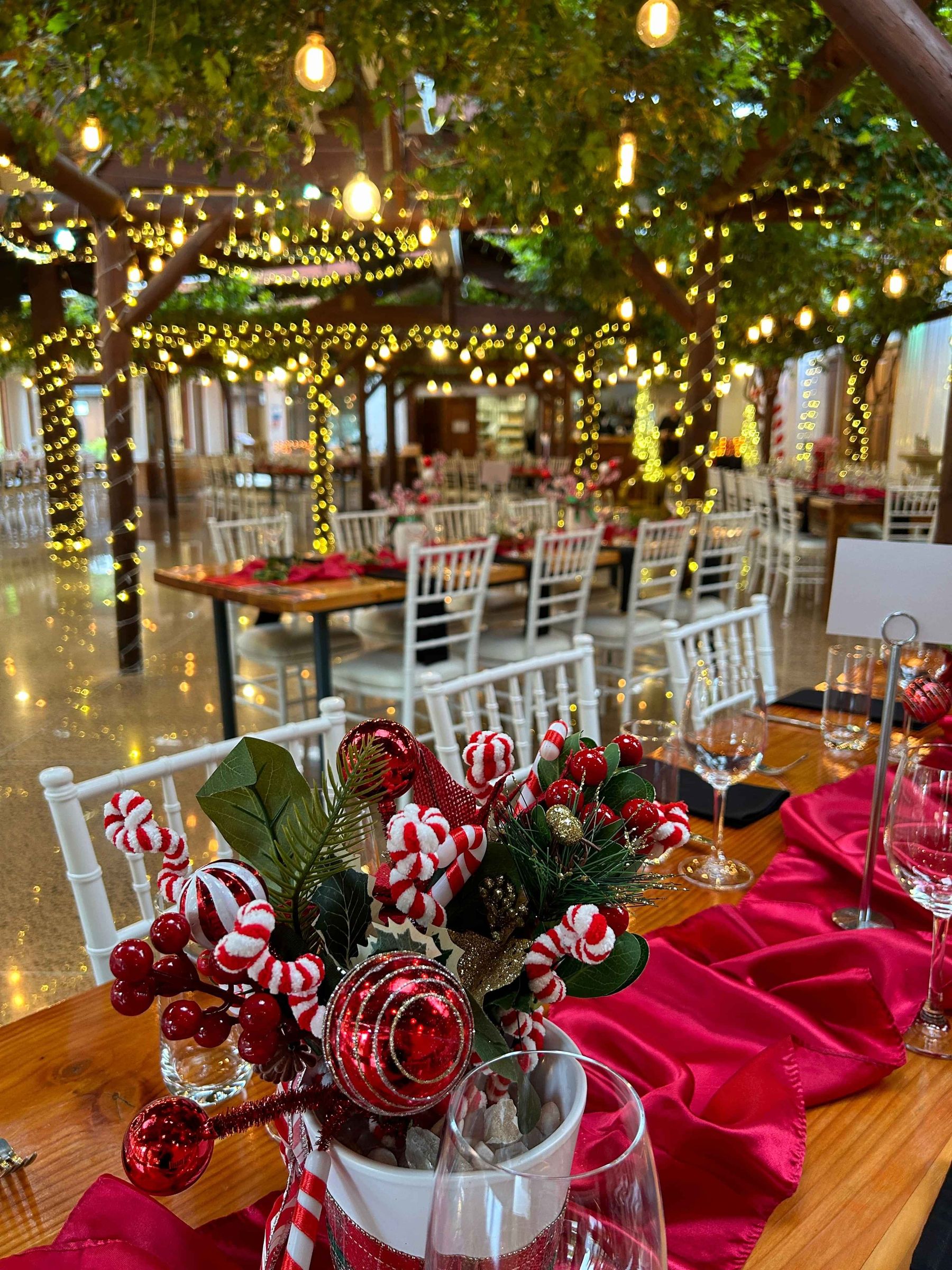 Christmas Functions Auckland | Markovina Vineyard Estate