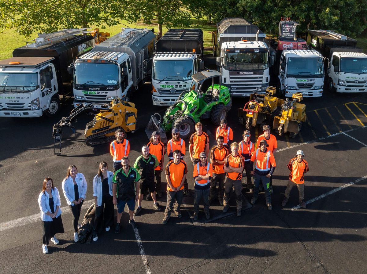 Commercial Arborist Services Auckland | DS Trees Auckland Arborists