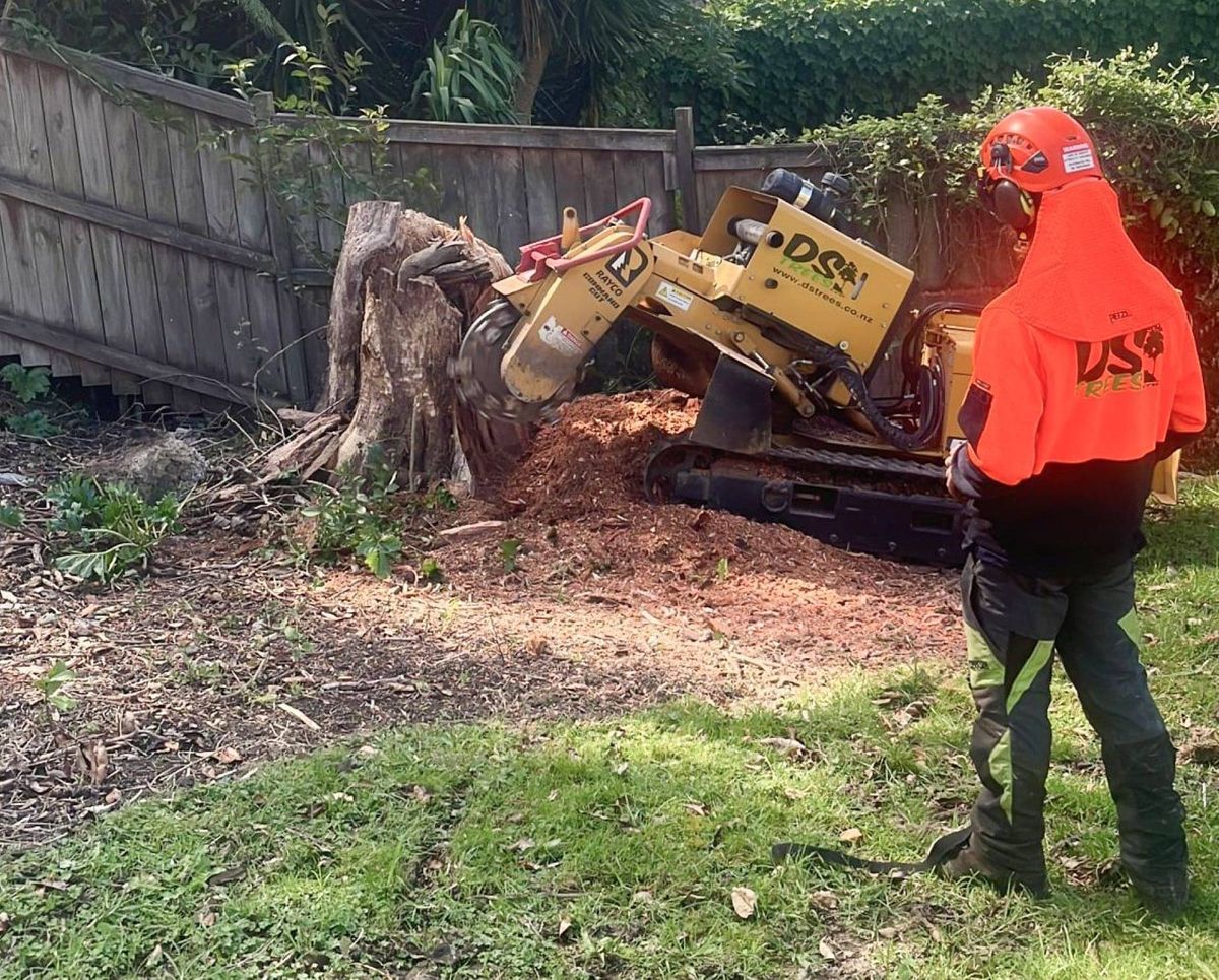 Stump Grinding Auckland | DS Trees Auckland Arborists