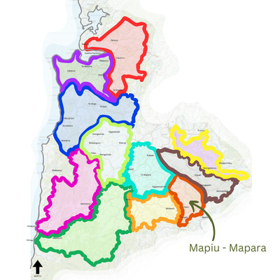 Mapiu - Mapara | King Country River Care