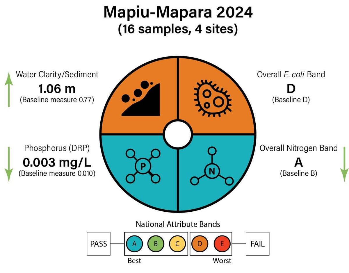 Mapiu - Mapara | King Country River Care