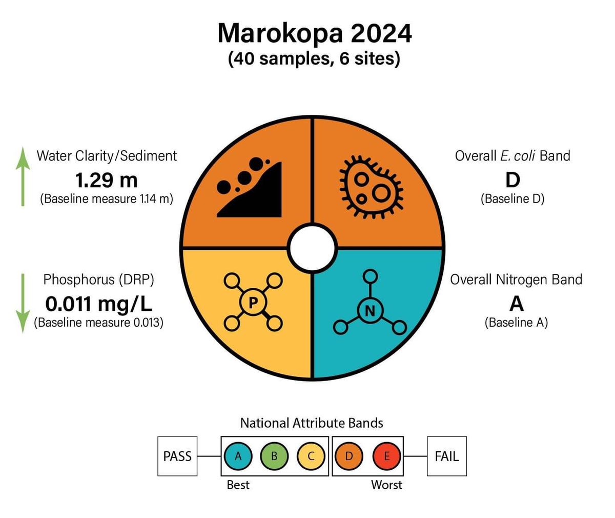 Marokopa River | King Country River Care