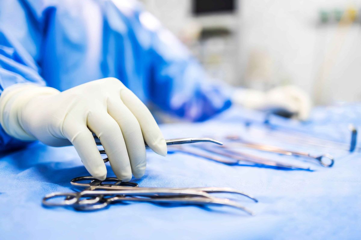 Surgical Services | The Vet House, Waikato