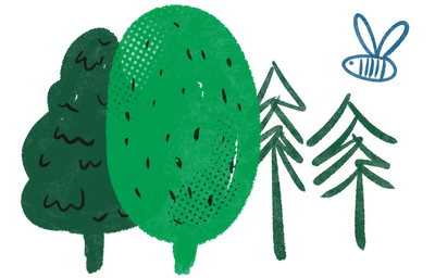 Accommodation | Tui Ridge Park, Rotorua Family friendly