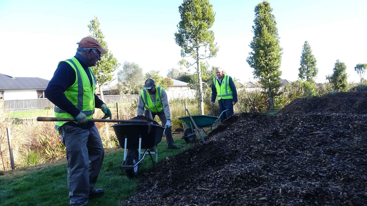 Cambridge Tree Trust | Volunteers