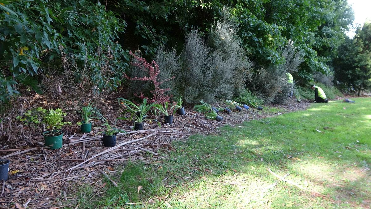 Riverview Park Cambridge | The Cambridge Tree Trust