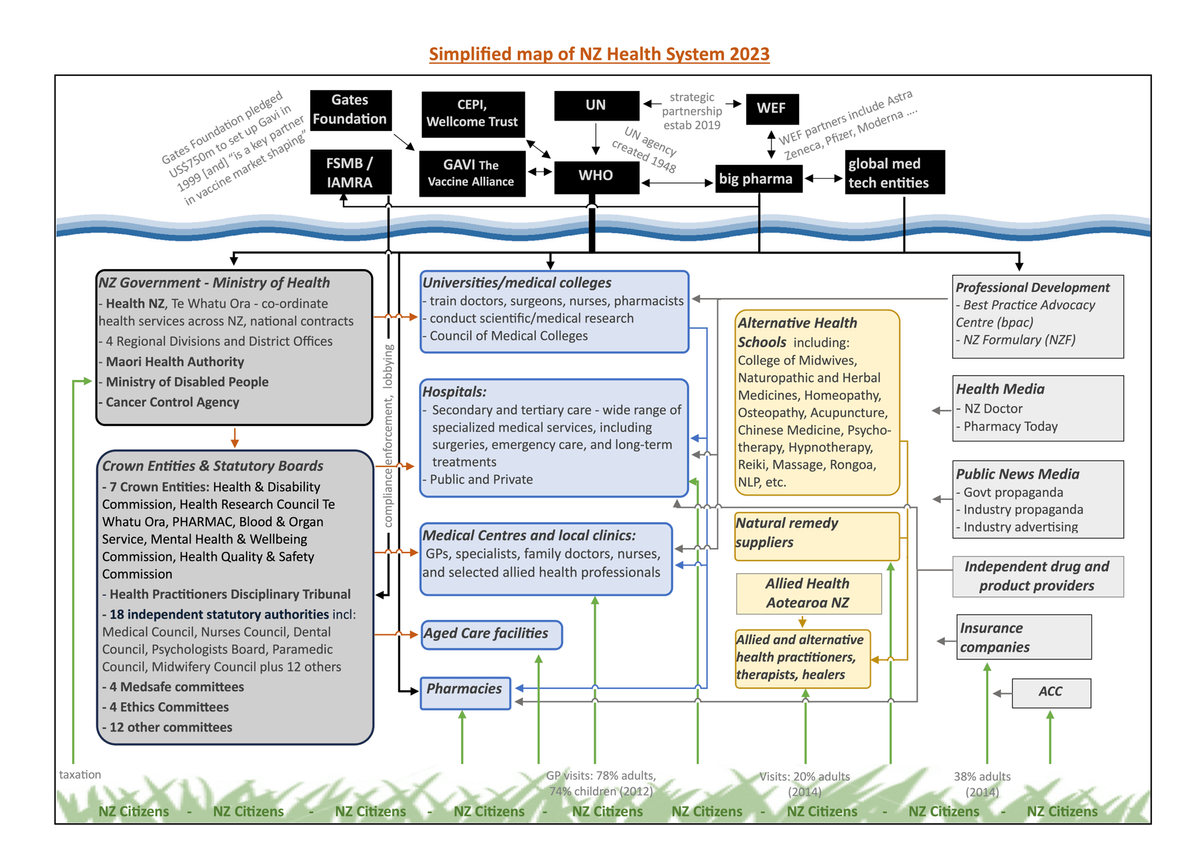 NZ Health System | reEnvision Health NZ