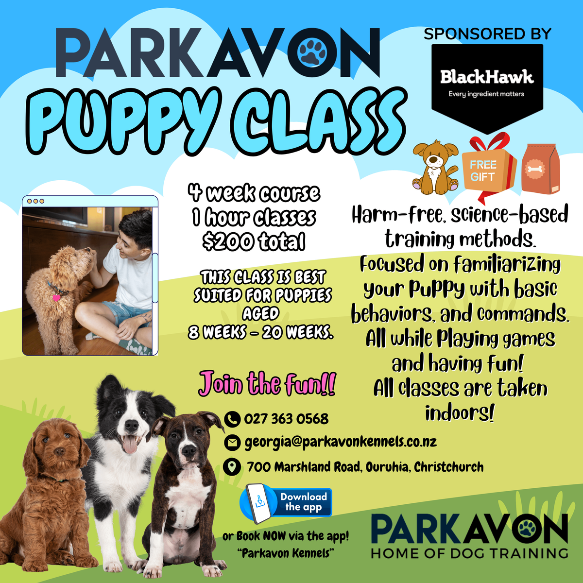 Puppy School Parkavon Dog Training | Parkavon Dog Training