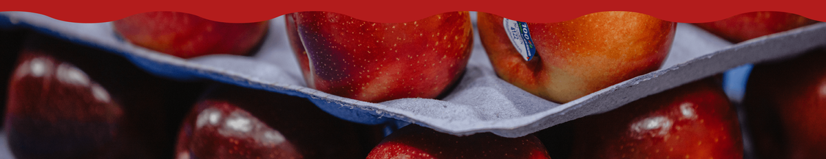 Sustainable Fruit Packing Customers | Hawk Group