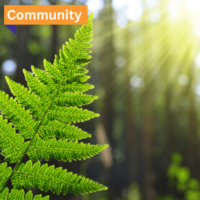 Trustees Community Endowment Fund