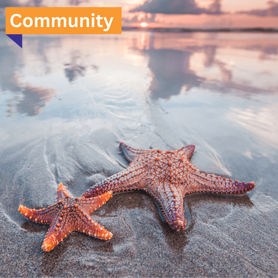 The Starfish Fund