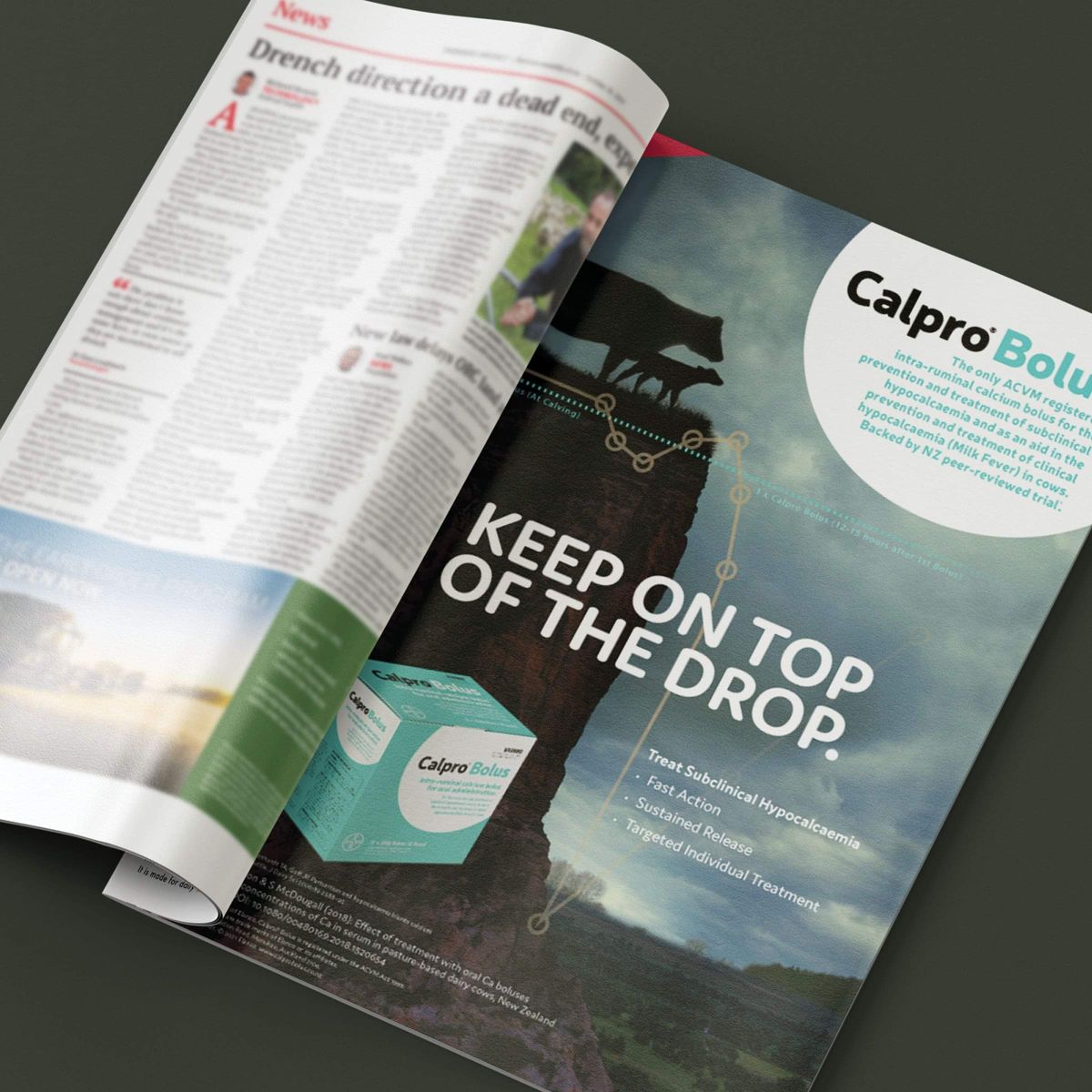 Print Advertising | Creative Refinery, Auckland