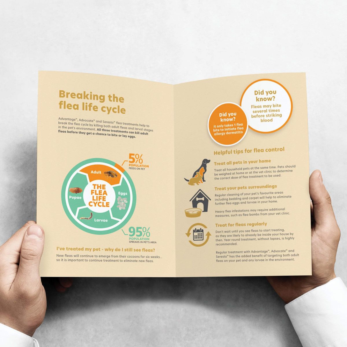 Brochures & Catalogues Design | Creative Refinery, Auckland
