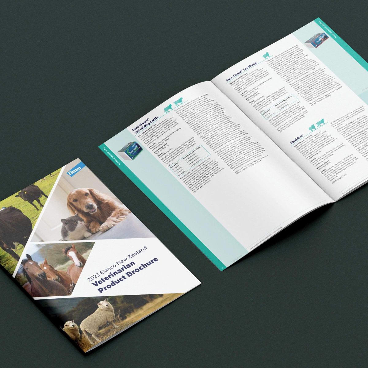 Brochures & Catalogues Design | Creative Refinery, Auckland