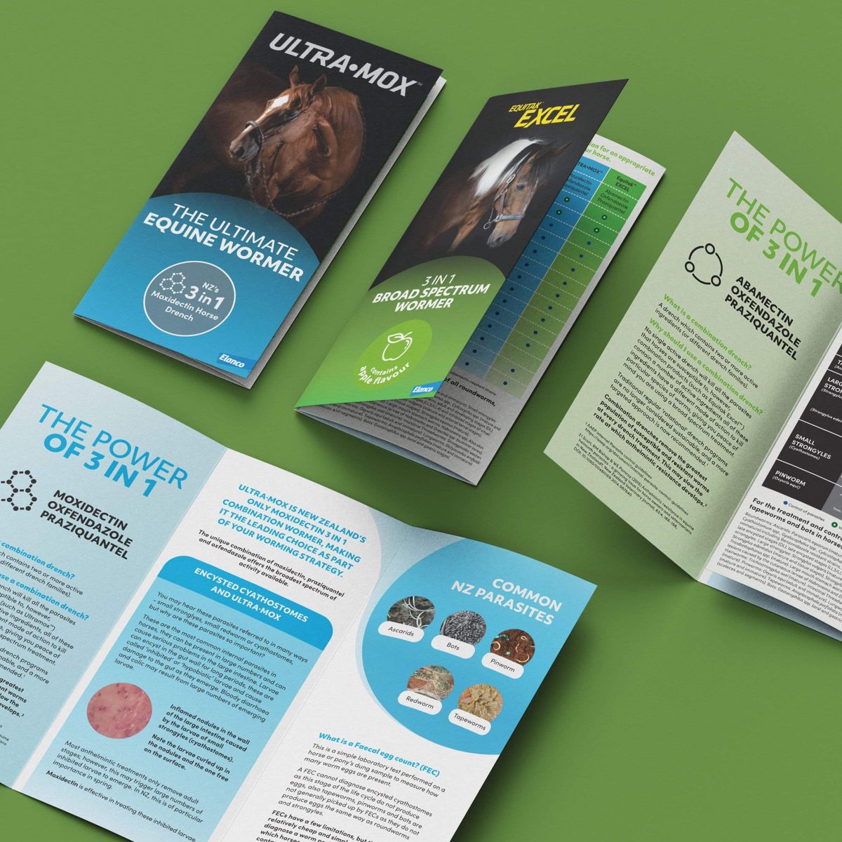 Brochures & Catalogues Design | Creative Refinery, Auckland
