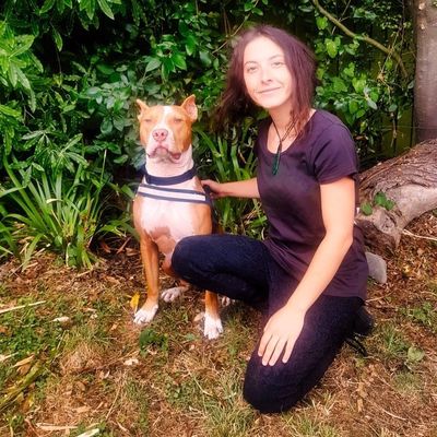Home | Hear The Dog