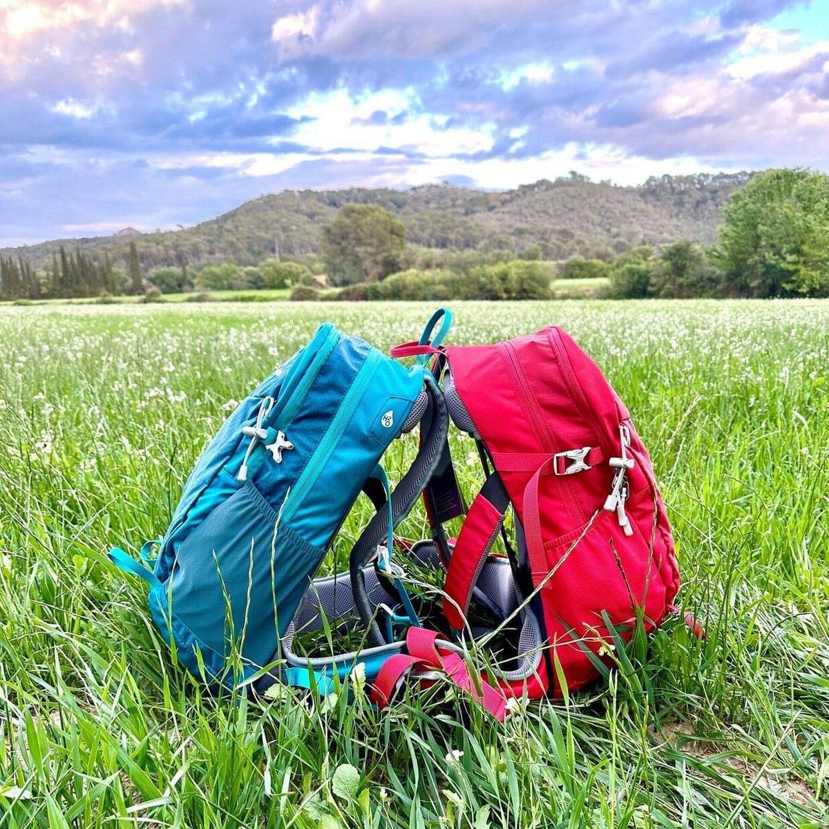 Altered Freedom Limited | Backpacks for Breast Cancer