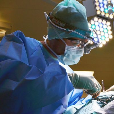 Services | Howick Health