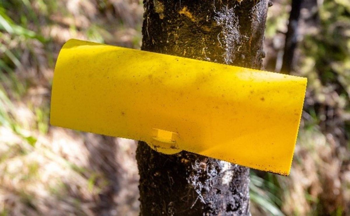 WASPS | Lake Tarawera Residents Association