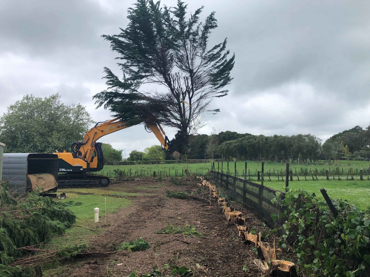 Waikato & Bay of Plenty Tree Removal & Mulch | Tree Chipping Services